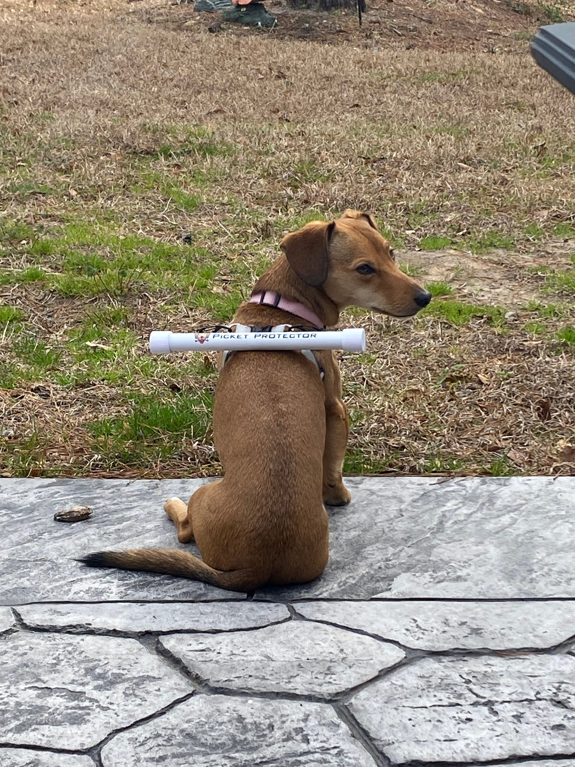 Picket Protector