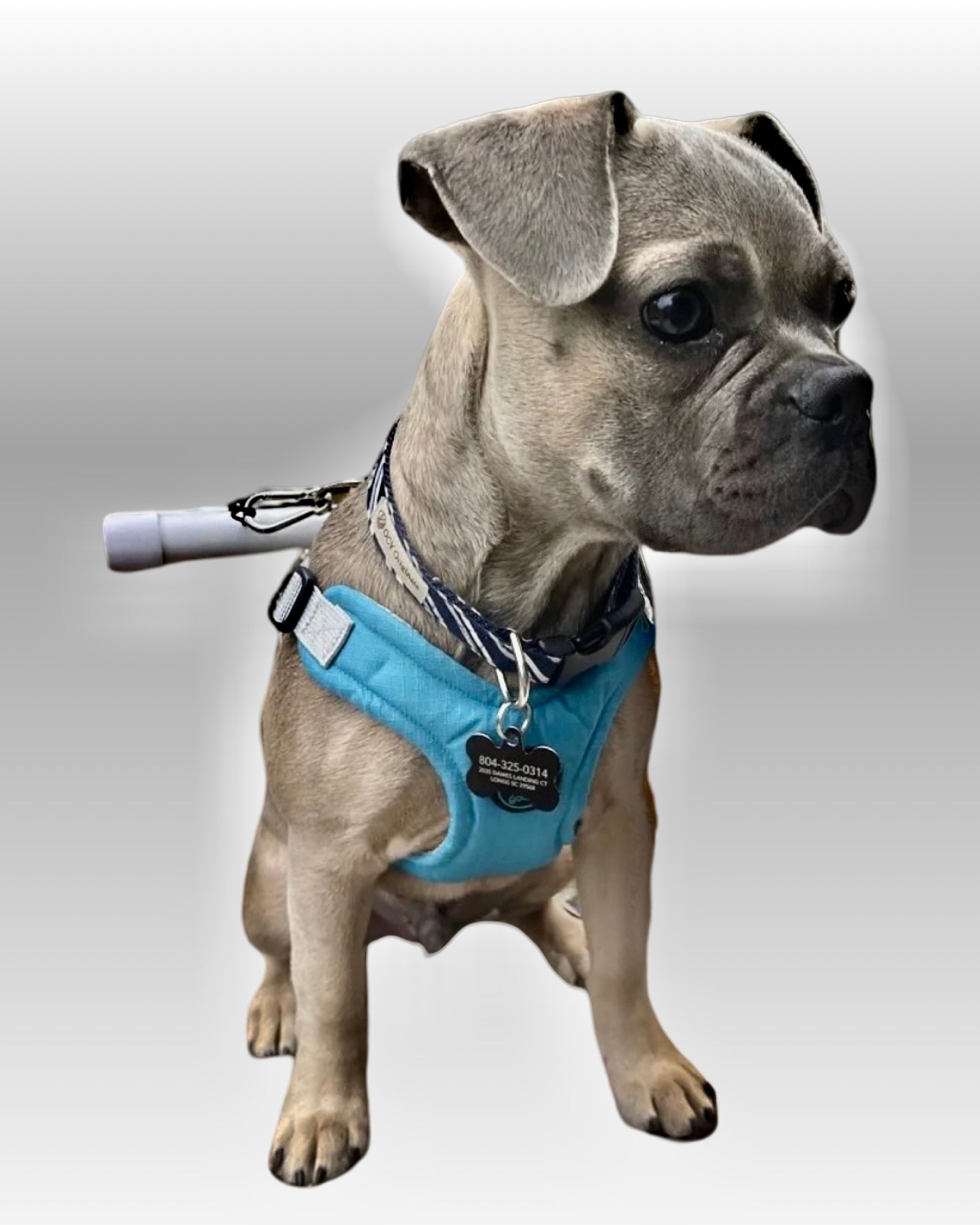 Picket Protector + Elite Harness Bundle | Picket Protector